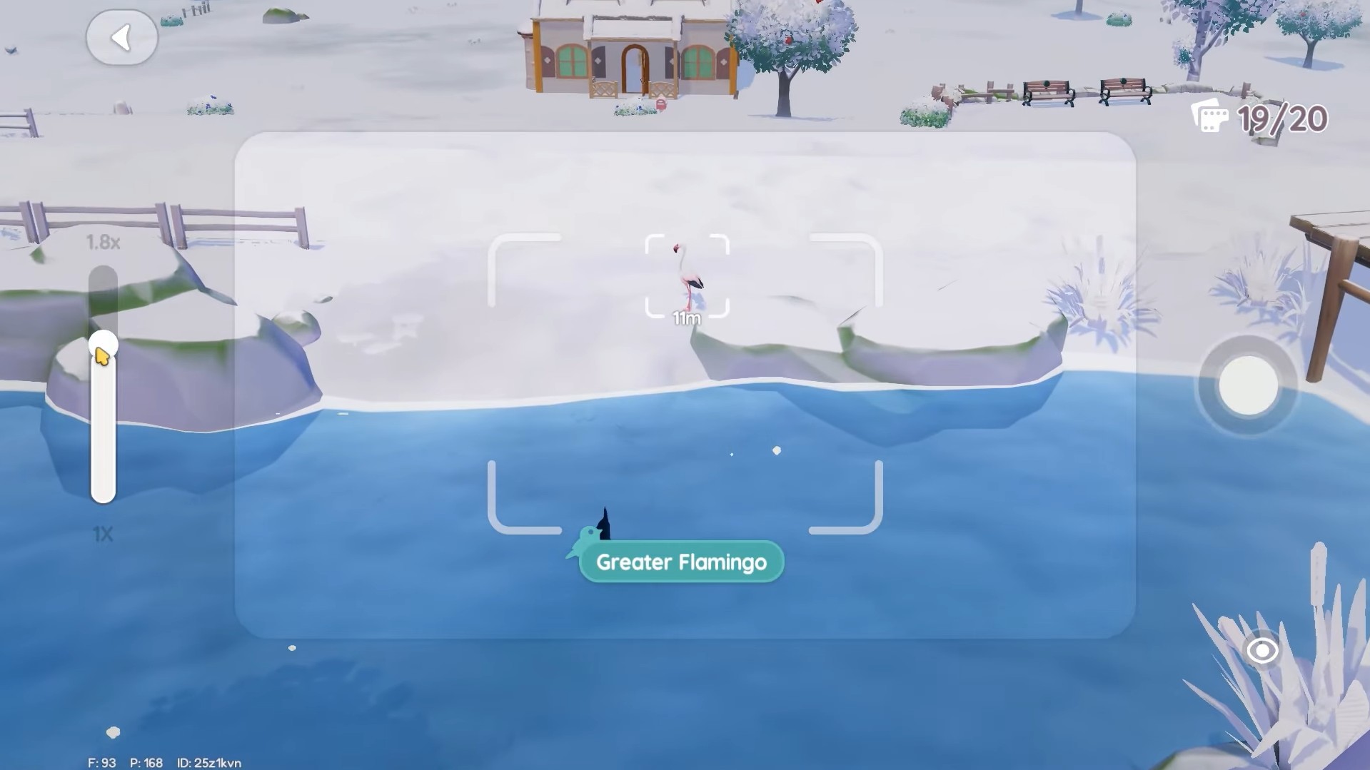 Heartopia: All Birds Location and How To Find Them — Rectify Gaming