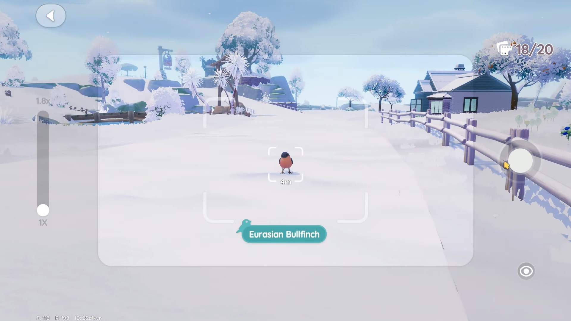 Heartopia: All Birds Location and How To Find Them — Rectify Gaming