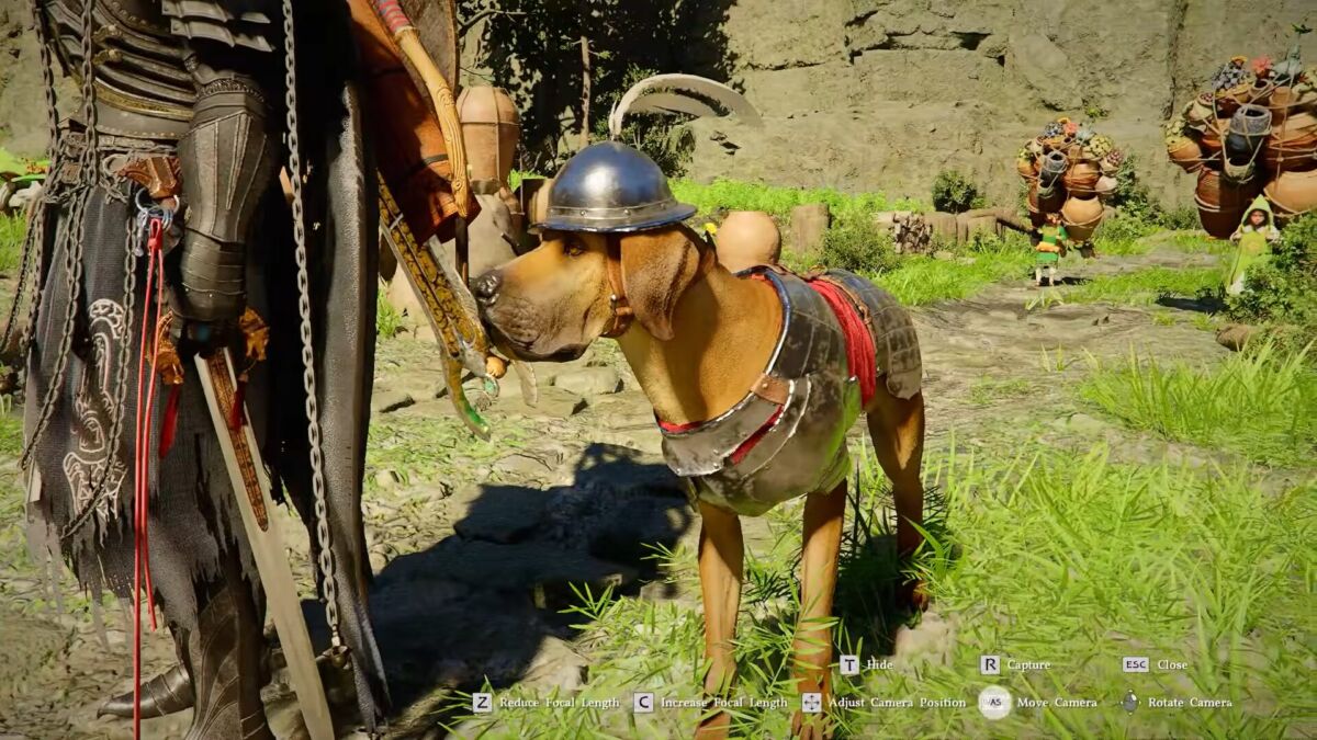 Crimson Desert: How To Get Pet Armor — Rectify Gaming